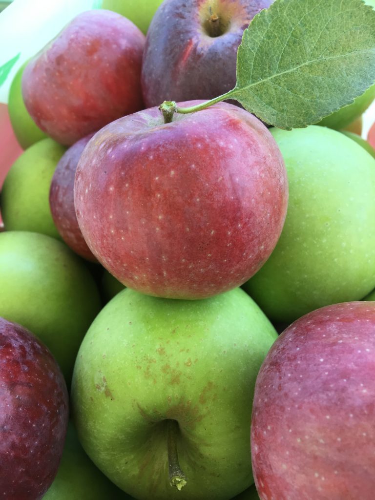 Apple Crisp – My Run Away Kitchen